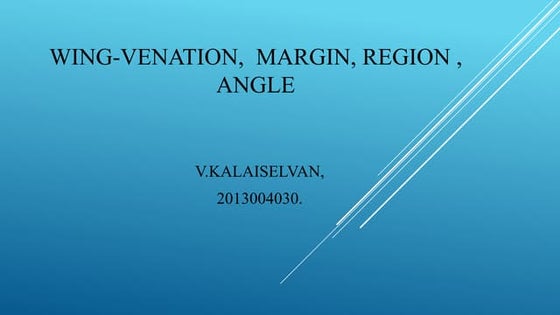 Insect Wing Venation, Wing coupling apparatus: its structure, function ...