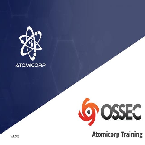 AEO Training - 2023.pdf
