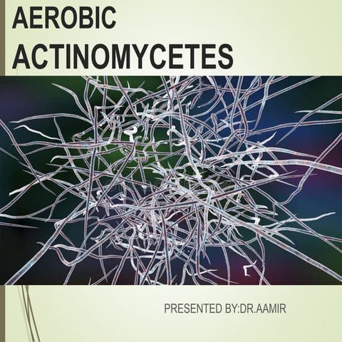 Aerobic actinomycetes | PPTX