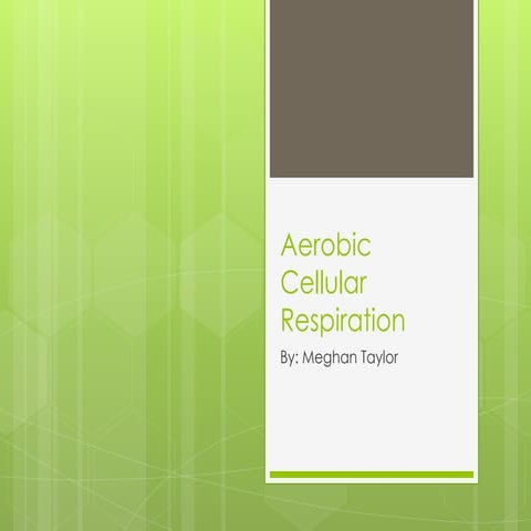Aerobic cellular respiration | PPTX
