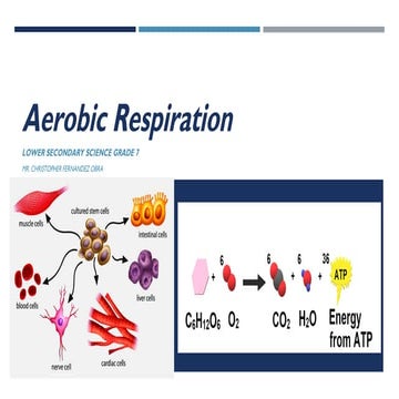 Aerobic Respiration
