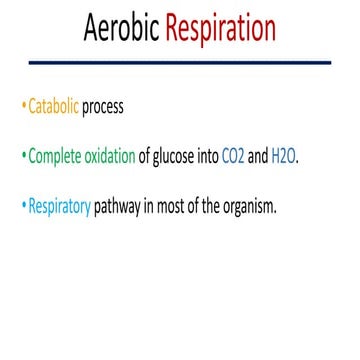 Unit 3 Aerobic Cellular Respiration Biology 189 With Exercise