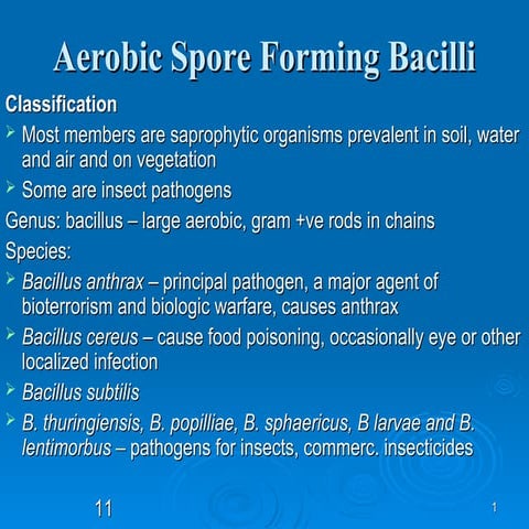 Aerobic_Spore_Forming_Bacilli David(1).ppt