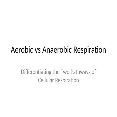 The Difference... Aerobic_vs_Anaerobic_Respiration_Enhanced.pptx