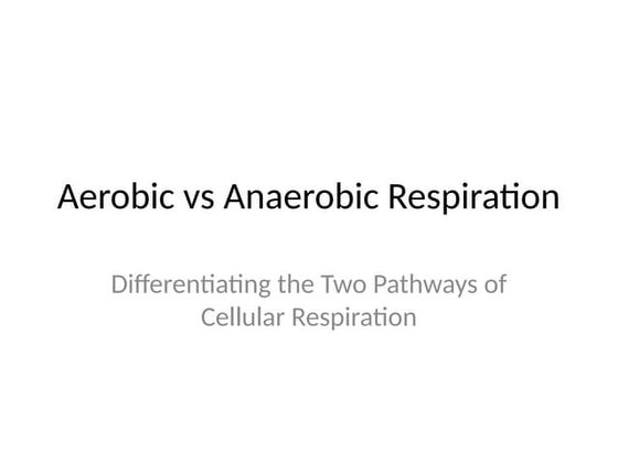 Explain the difference between fermentation and respiration in biolo.pdf