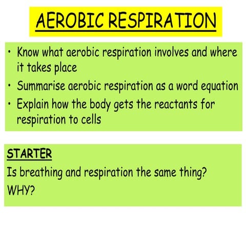 Aerobic yr8 .pptx