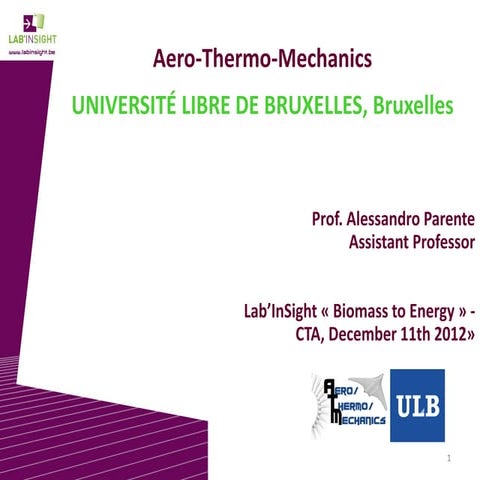 Aero thermo mechanics -ULB- Lab'InSight Biomass to Energy | PDF