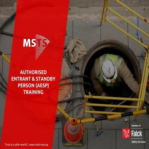 MSTS ASIA - Authorised Entrant & Standby Person (AESP) Training | PDF ...