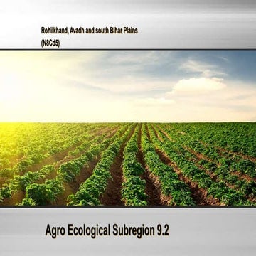 Aesr 9.2 | PPTX | Agriculture | Industries