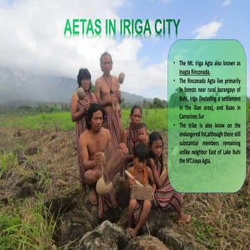 Philippine indigenous community AetasAETAS IN IRIGA CITY.pptx