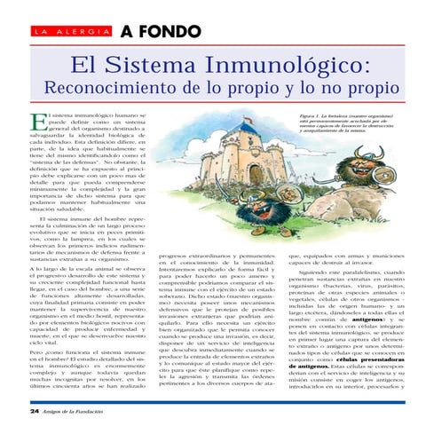 Quimiotaxia inmunologia | DOCX
