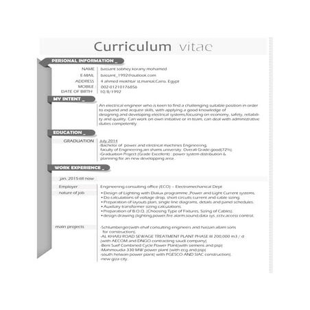 Bassant Mohamed Electrical Engineer Pdf