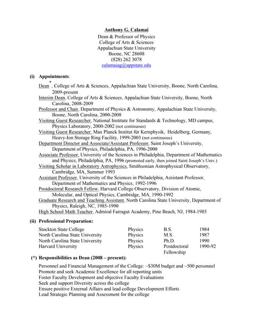 Bert CV overview-1 | PDF