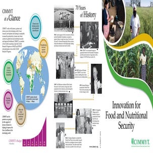 CIMMYT-brochure | PPT