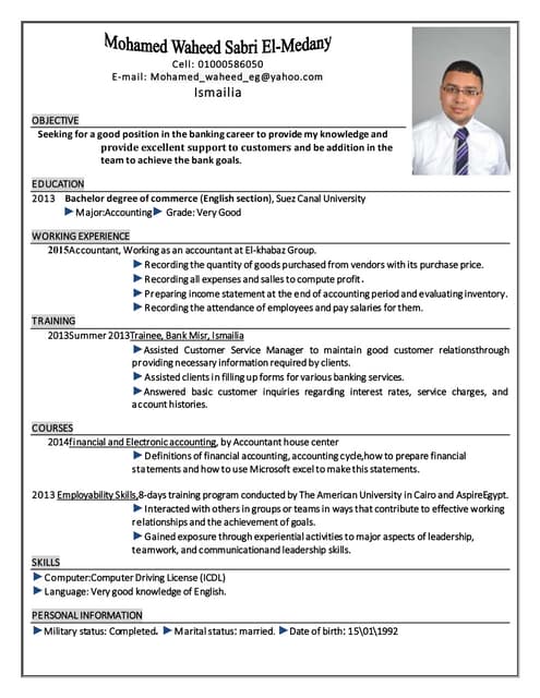 Ahmed_Hamada_CV (2) | PDF