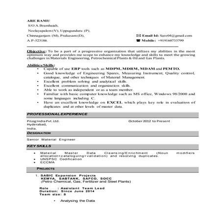 Material Master Data Management resume | DOCX | Business | Business and ...