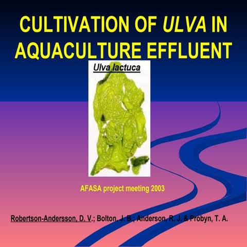 CULTIVATION OF ULVA IN AQUACULTURE EFFLUENT | PPT
