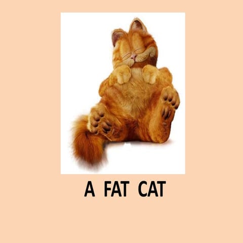 a_fat_cat_weekdays.ppt