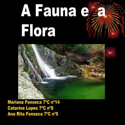 A Fauna e a Flora na Antártida | PPT