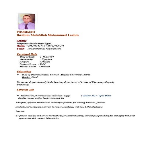 MY CV | PDF