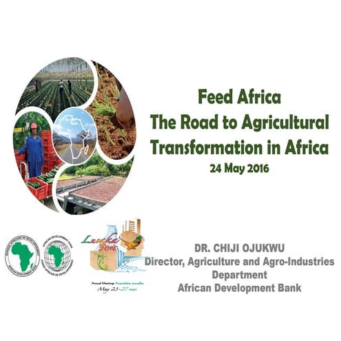 The Road to Agricultural Transformation in Africa - Feed Africa’ | PDF