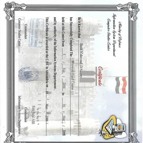 Microsoft Excel Certificate | PDF