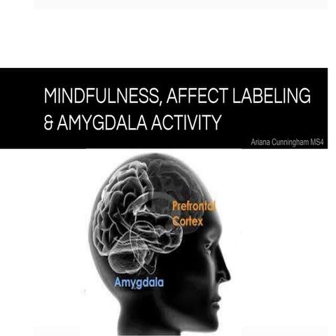 Affect labeling | PPTX
