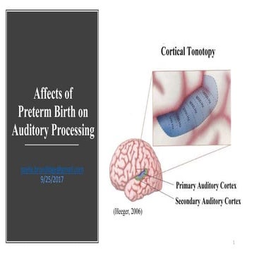 Affects of preterm birth on auditory processing | PPTX