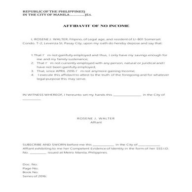 Affidavit of no income | DOC