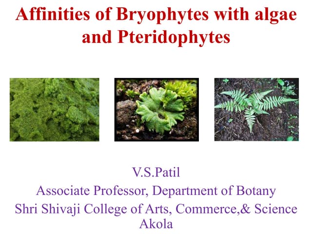 Origin and evolution of bryophytes | PPTX