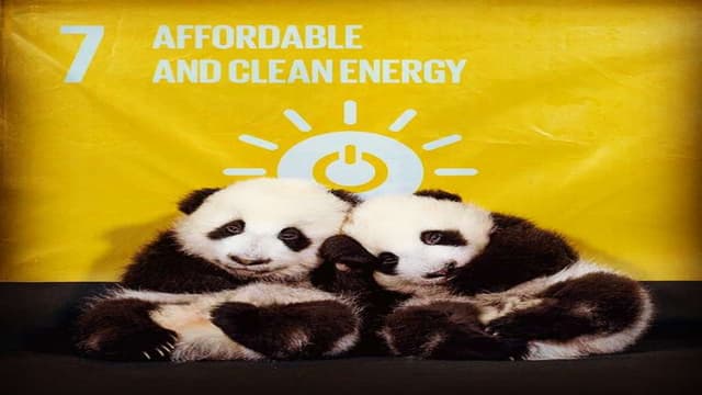 sustainable development goals no. 7 (sdg 7) clean and affordable energy ...