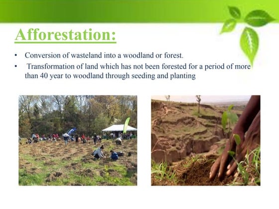 afforestation and deforestation relating printing | PPT