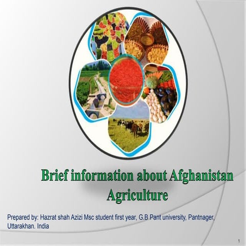 Afghanistan agriculture information | PPTX