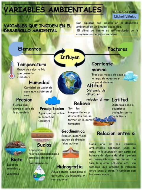 Afiche Variables Ambientales | PDF