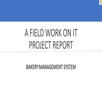 A FIELD WORK ON IT PROJECT REPORT.pptx