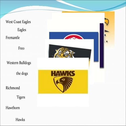 AFL Flags
