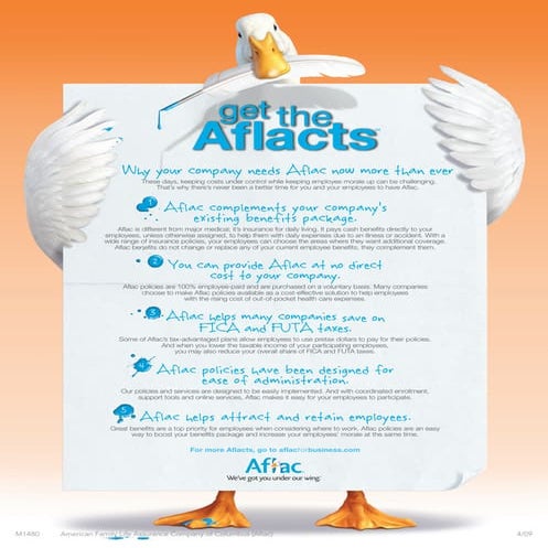 Some Aflacts for Business | PDF