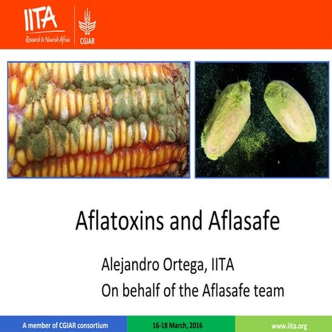 Aflatoxins and Aflasafe | PPT
