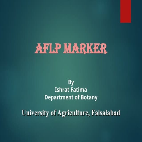 aflp-200507044155.ppt for student education | PPT