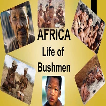 Africa , life of bushmen | PPTX