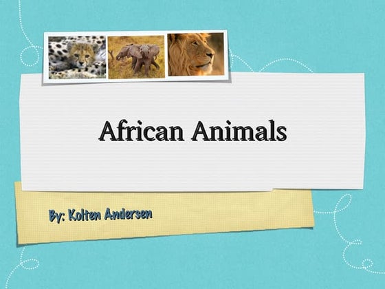 African Animals | PPTX | Large Animals | Pets