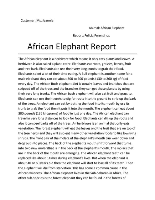adaptation of elephant | PPT