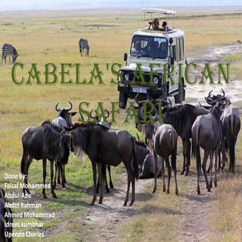 Start a Tour Company Business in Kenya, Nairobi | PDF