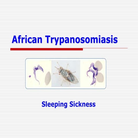 African_Trypanosomiasis 1.ppt