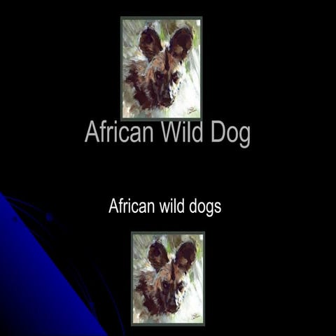 African wild dog | PPT