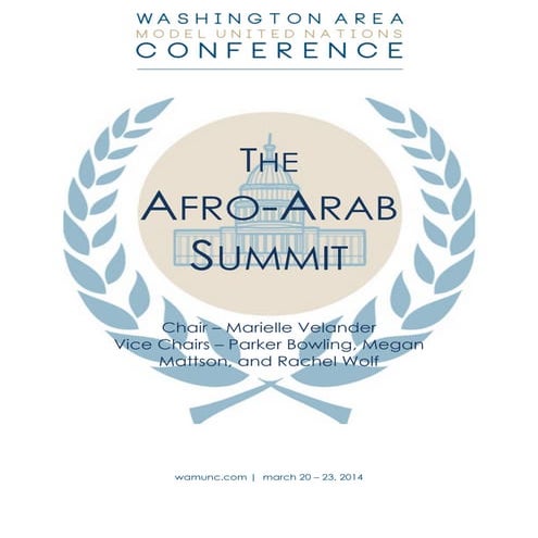 THE AFRO-ARAB SUMMIT | PDF