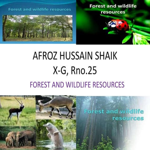 Forest and Wildlife Resources.pptx