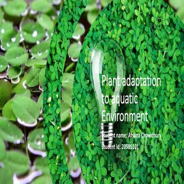 plant adaptation to aquatic environment | PPTX