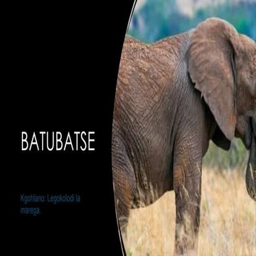 BATLOKWA_2[11].pptx AFT 121 PRESENTATION | PPTX