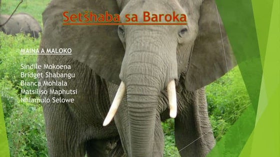 AFT Final presentation.pptx